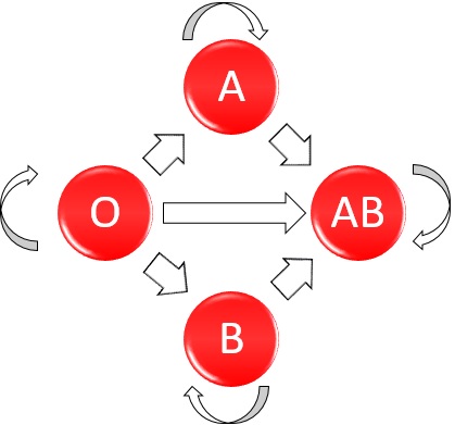 Les groupes sanguins et la compatibilité sanguine | Alloprof