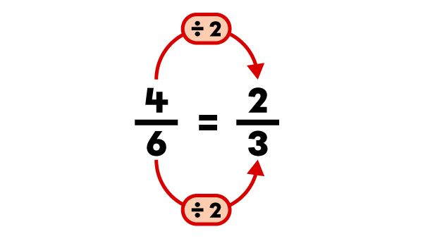 Les fractions équivalentes | Primaire | Primaire | Alloprof