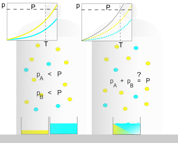 La loi des pressions partielles (loi de Dalton) | Alloprof