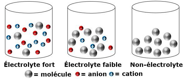 La conductibilité électrique des solutions | Secondaire | Alloprof