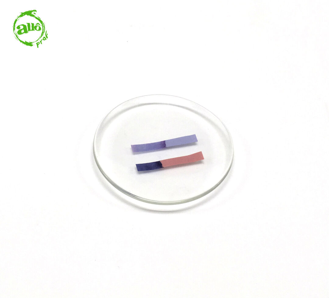 Identifying the Acid-Base Nature of a Substance | Secondaire | Alloprof