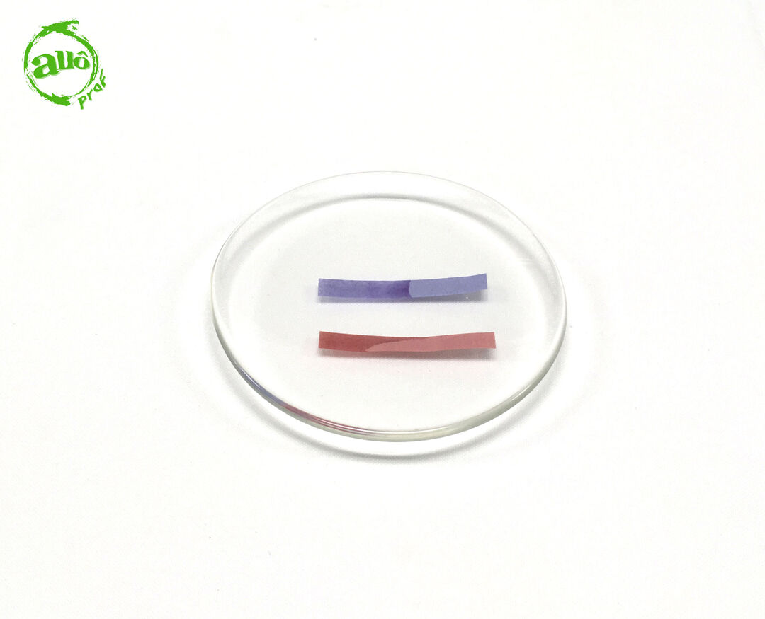 Identifying the Acid-Base Nature of a Substance | Secondaire | Alloprof