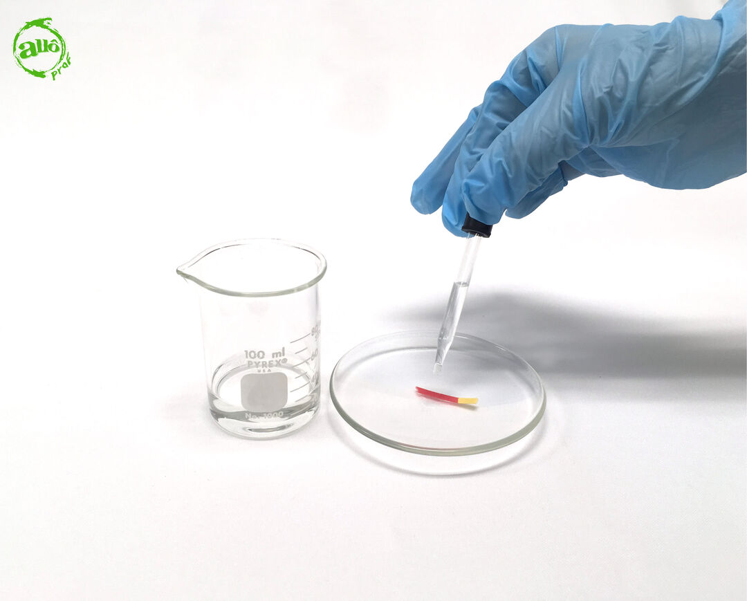 Identifying the Acid-Base Nature of a Substance | Secondaire | Alloprof