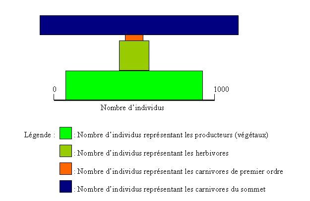 Les chaines alimentaires | Alloprof