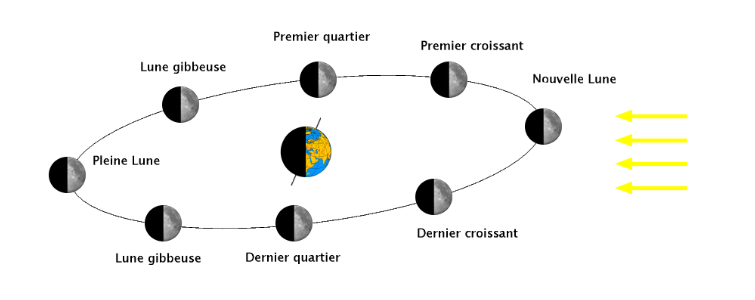 Les phases de la Lune | Alloprof
