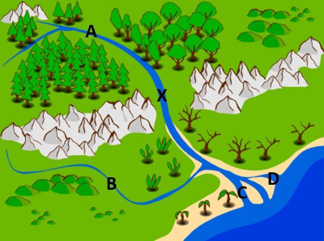 Catchment Areas | Secondaire | Alloprof