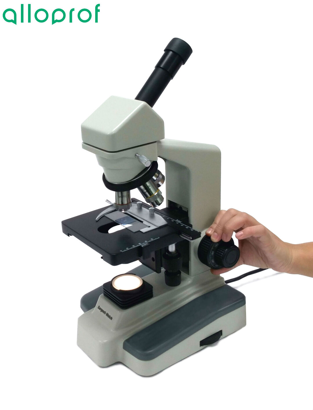 L'utilisation du microscope | Secondaire | Alloprof