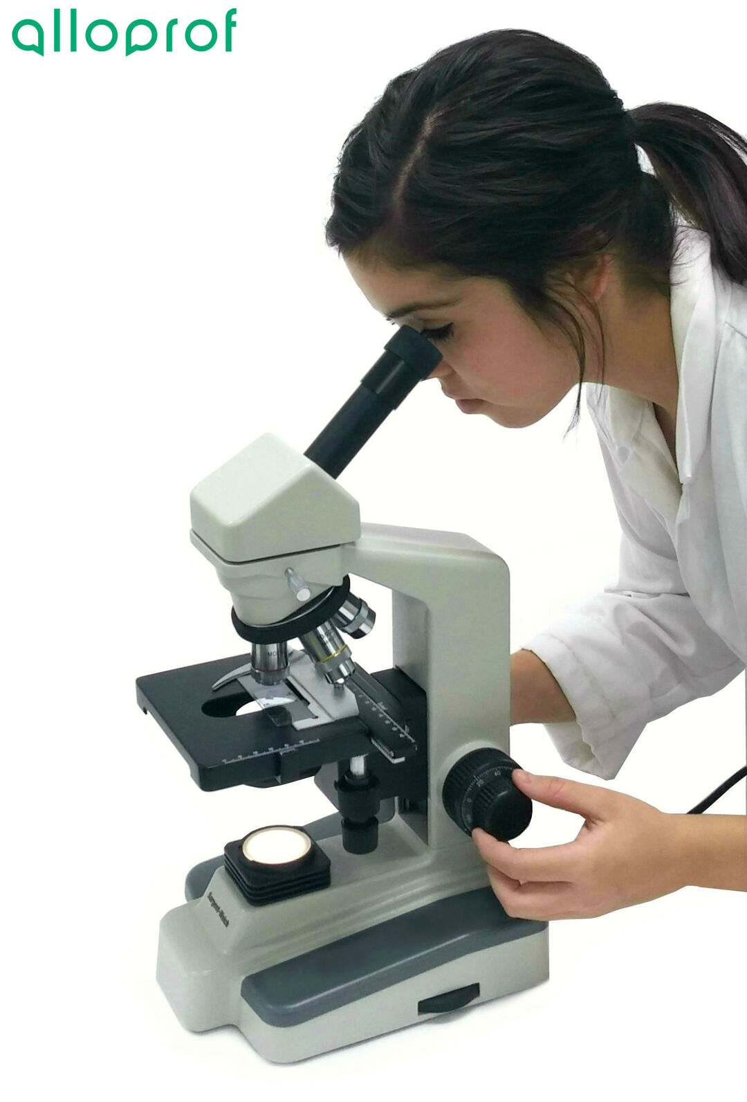 L'utilisation du microscope | Secondaire | Alloprof