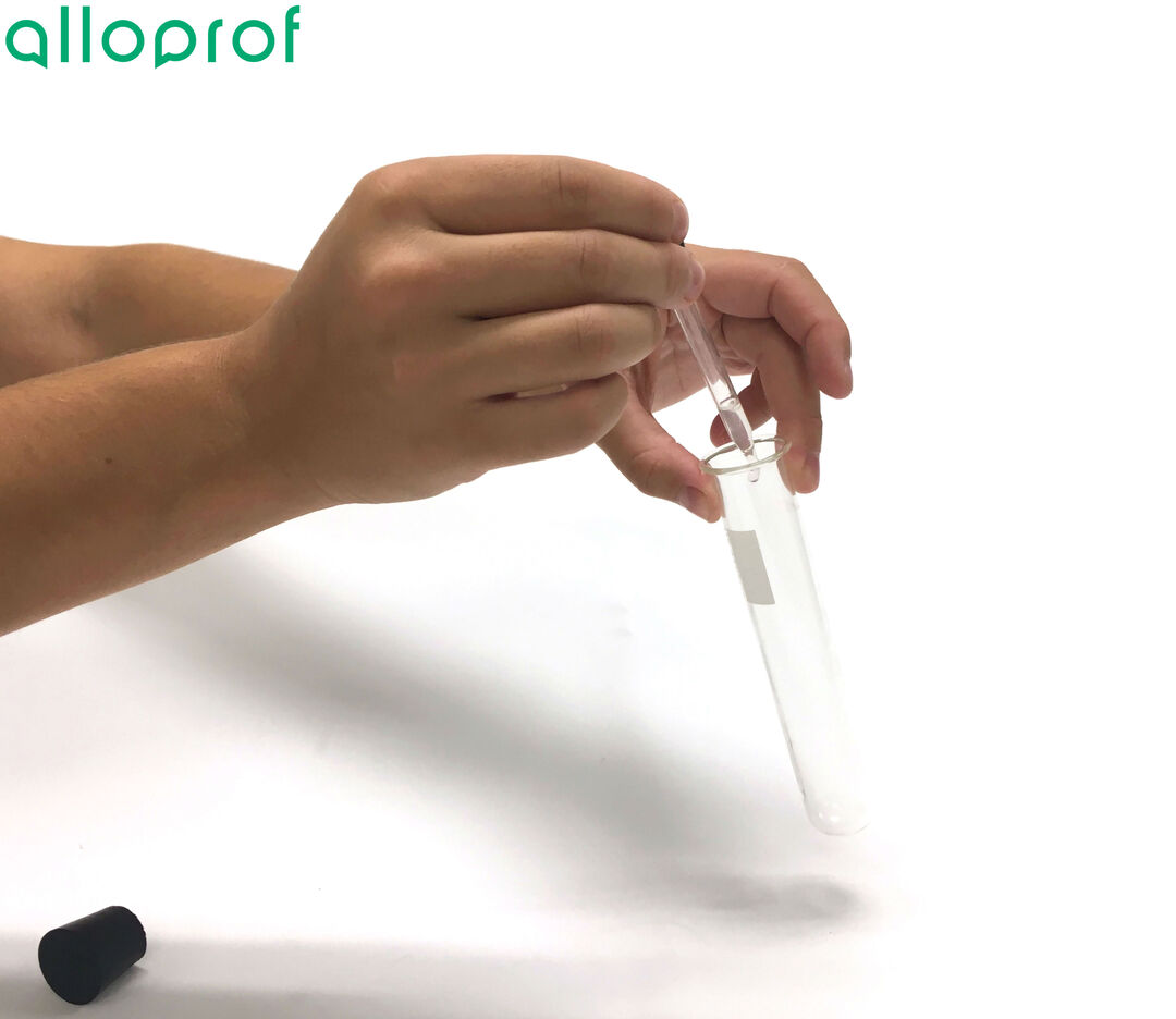 Identification Tests for Certain Gases | Secondaire | Alloprof