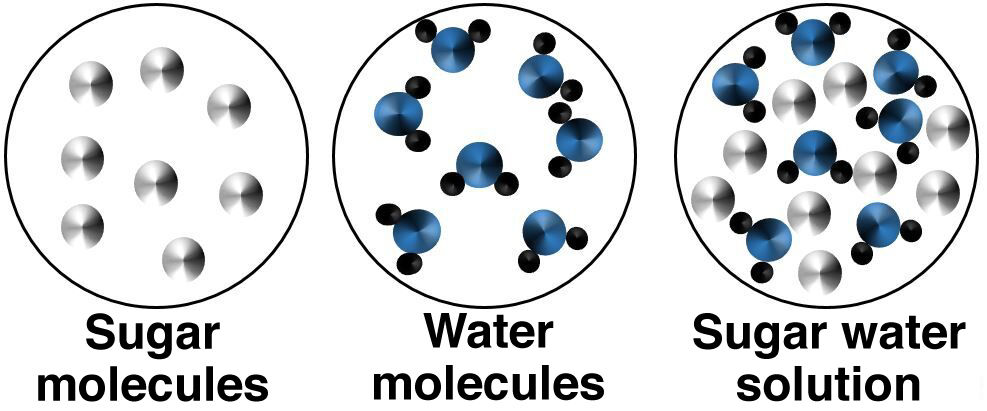 Dissolution | Secondaire | Alloprof