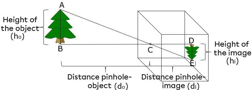 The Pinhole Camera | Secondary | Alloprof