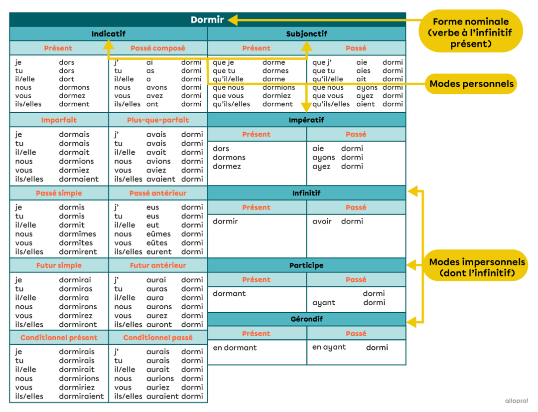 Le verbe à l’infinitif et le verbe conjugué | Alloprof