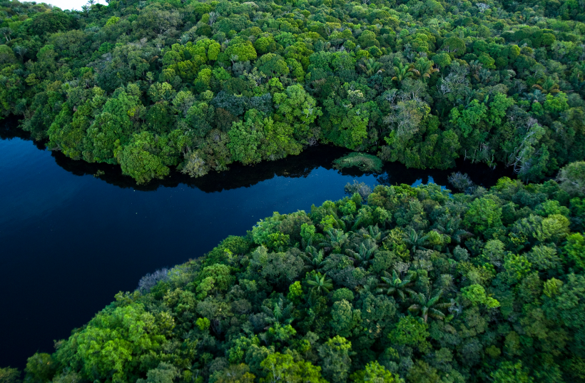 The Characteristics of Forest Regions | Secondaire | Alloprof