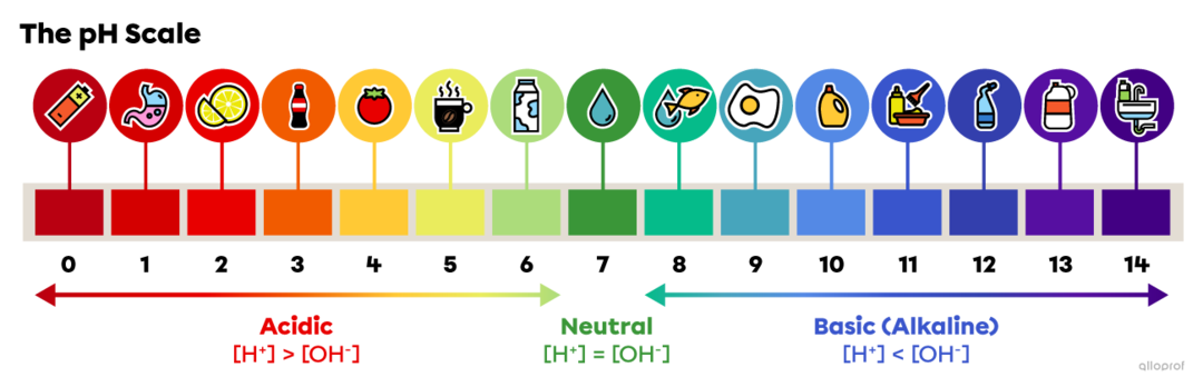 The pH Scale and Acid-Base Indicators | Secondaire | Alloprof