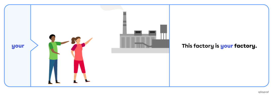 Determiners | Secondaire | Alloprof