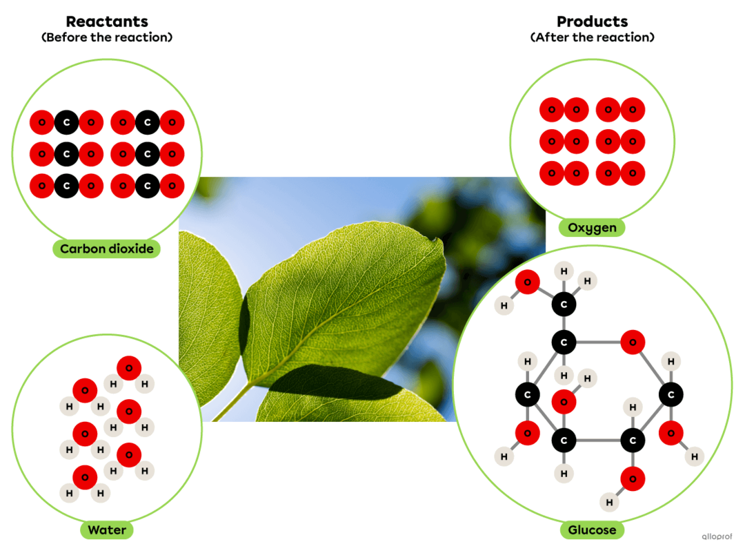 Chemical Reactions | Secondaire | Alloprof