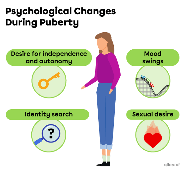 Hormones and Female Puberty | Secondaire | Alloprof