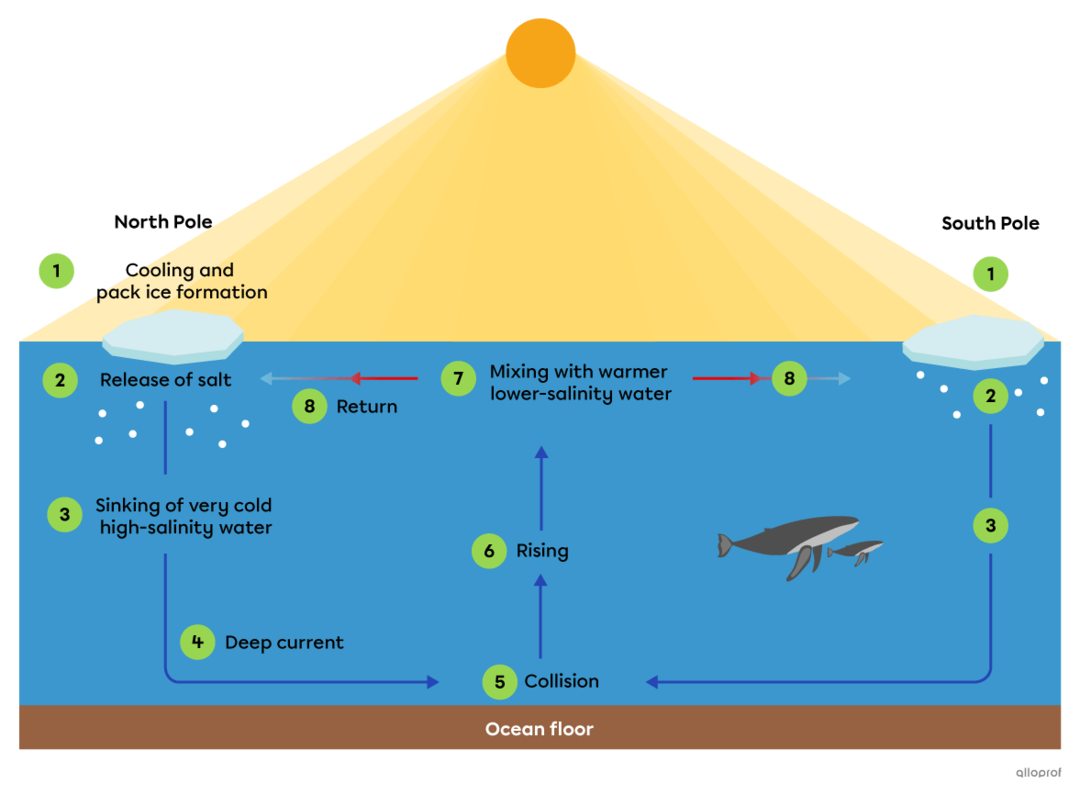 Ocean Circulation | Secondaire | Alloprof