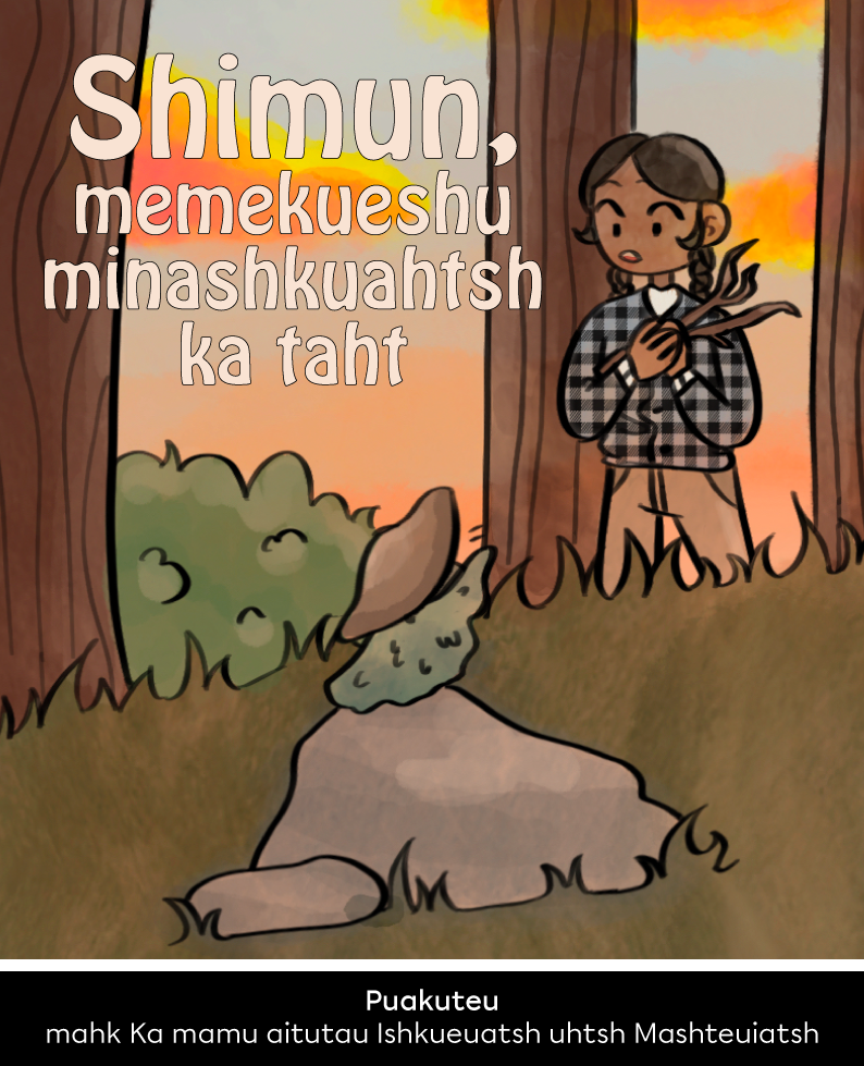 Compréhension de lecture : Shimun, le lutin des bois — Shimun ...
