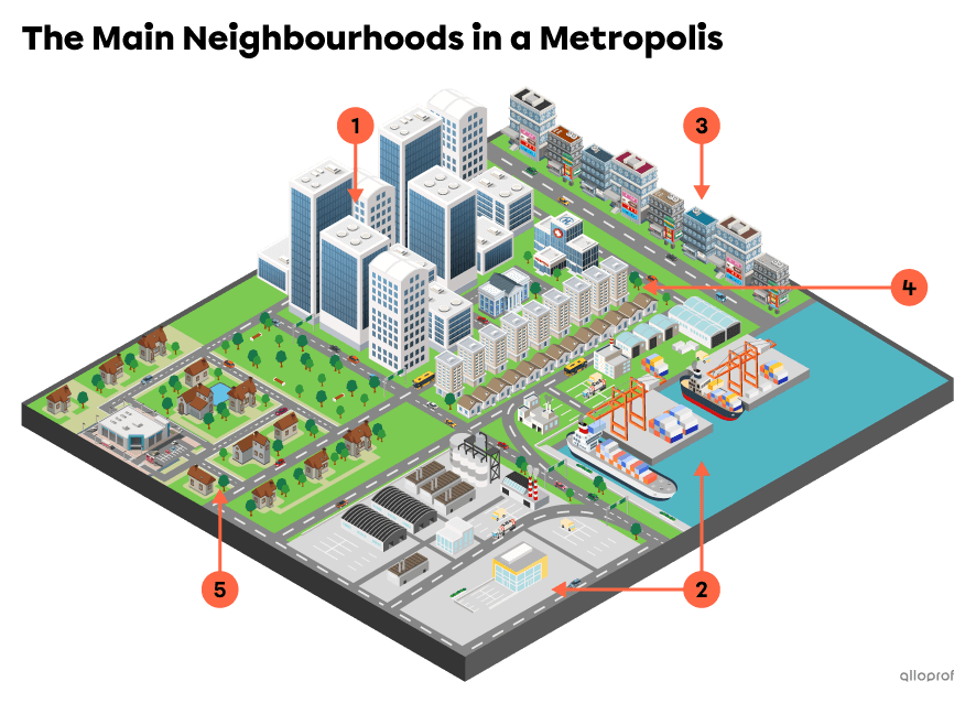 The Planning and Development of a Metropolis | Secondaire | Alloprof