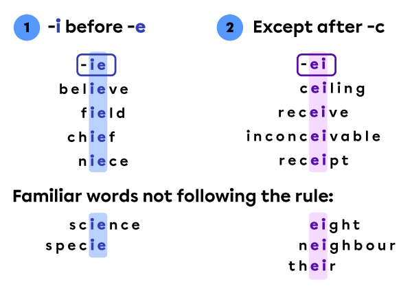 -I Before -E, Except After -C — Spelling Rules | Alloprof