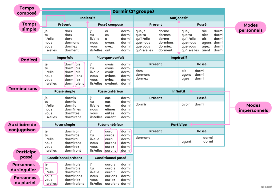 La conjugaison | Alloprof