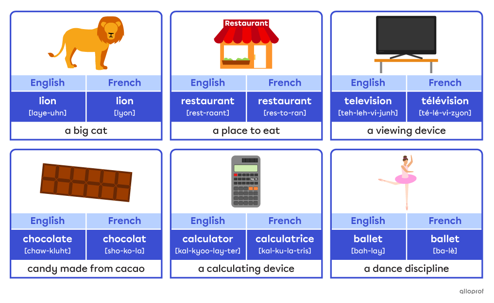 Cognates (True Friends) | Alloprof