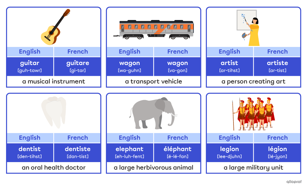 Cognates (True Friends) | Alloprof
