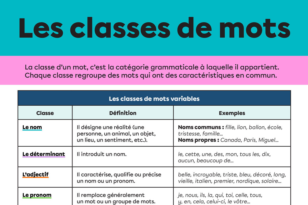 Affiche : Les classes de mots | Alloprof