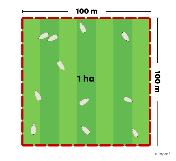 Les enjeux d’un territoire agricole | Alloprof