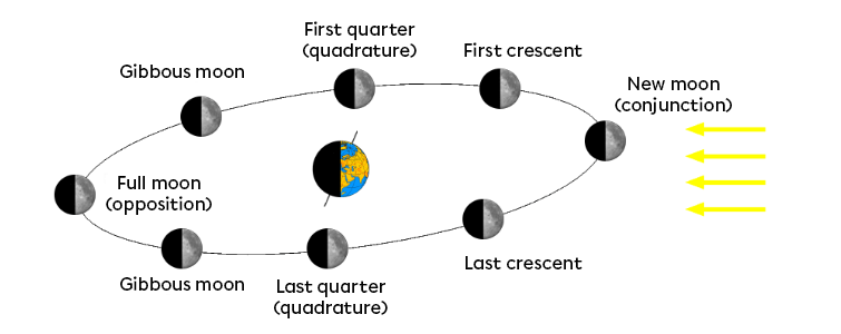 Light and Its Properties | Secondaire | Alloprof
