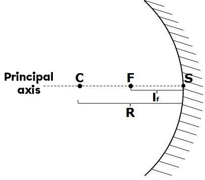 Curved Mirrors | Alloprof