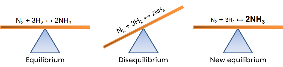 The Influence of Concentration on Equilibrium State | Secondaire | Alloprof