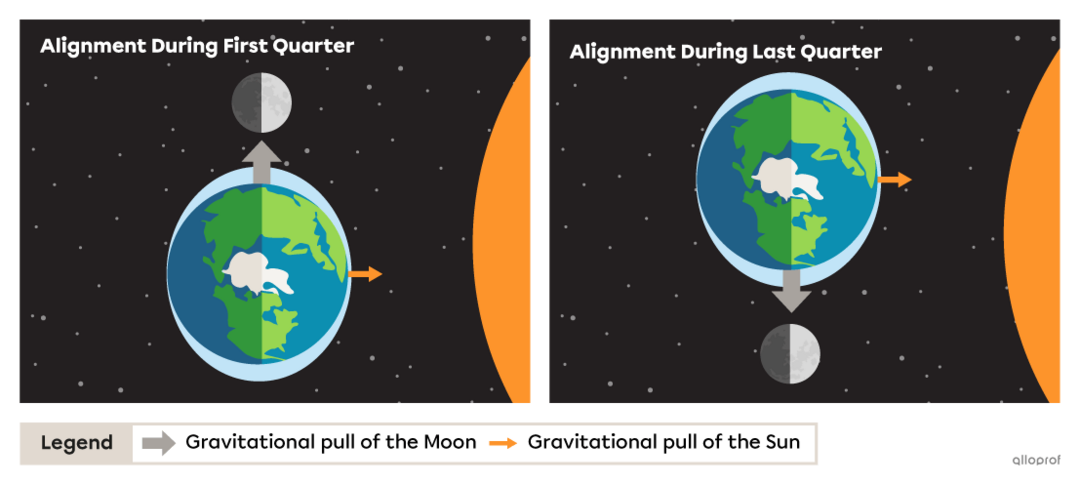 Tides | Secondaire | Alloprof