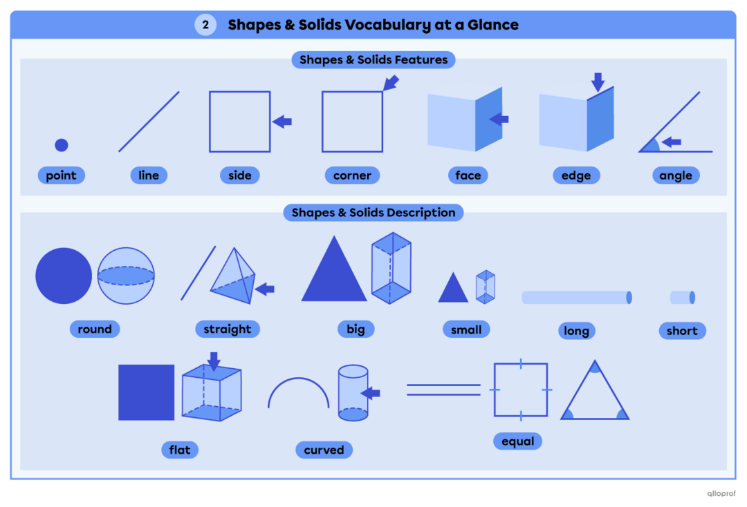 What Are Shapes & Solids? | Grades 3-6 & Secondary 1-3 | Alloprof