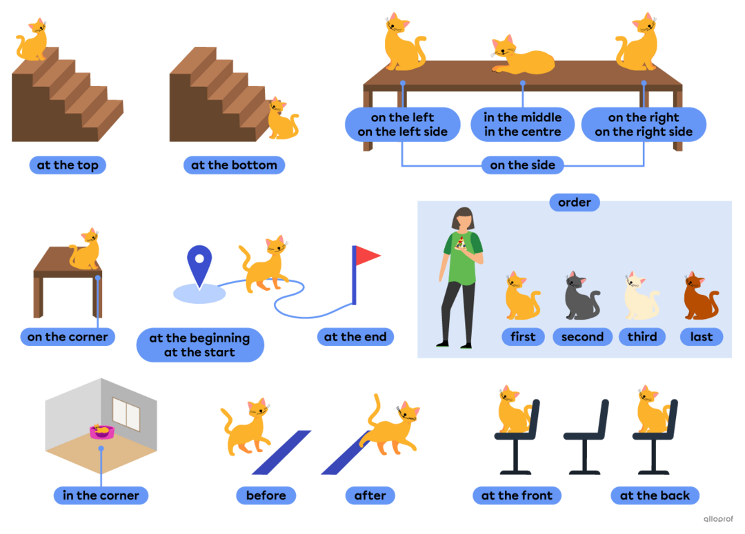 What Is the Vocabulary for Position & Directions? | Grades 3-6 | Alloprof
