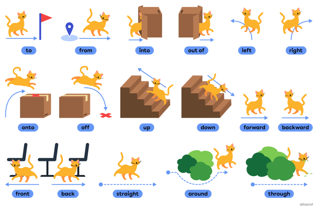 What Is the Vocabulary for Position & Directions? | Grades 3-6 | Alloprof