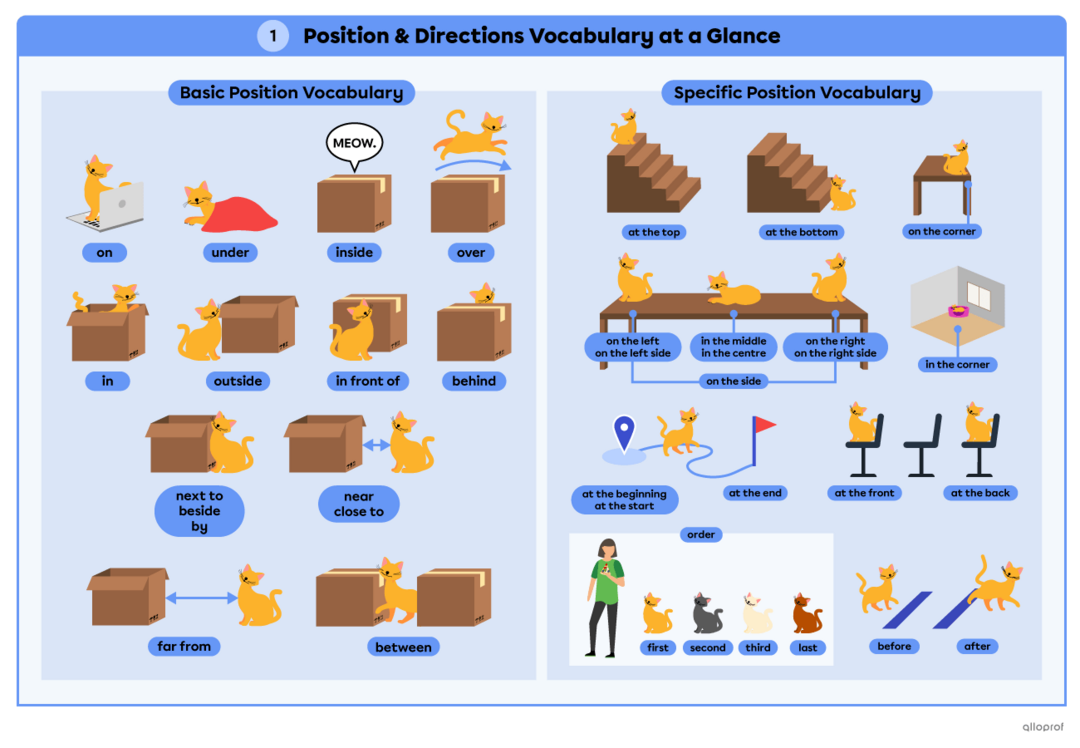 What Is the Vocabulary for Position & Directions? | Grades 3-6 | Alloprof