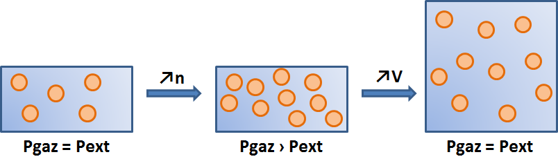 La relation entre le volume et le nombre de moles de gaz (loi d ...