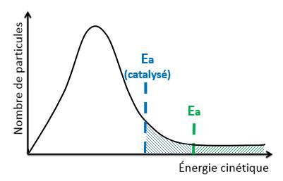 Les facteurs qui influencent la vitesse de réaction | Secondaire | Alloprof