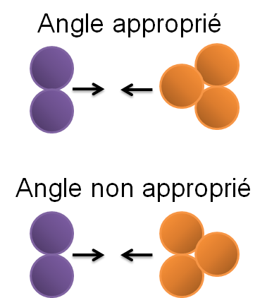 La théorie des collisions | Alloprof