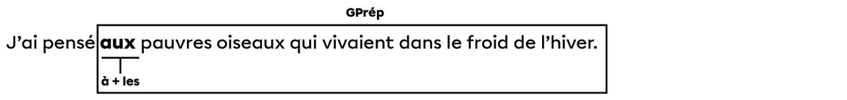 Le déterminant défini | Alloprof