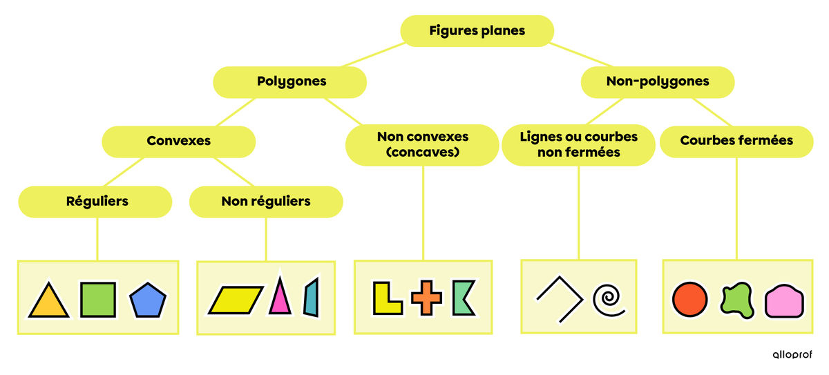 Les polygones | Alloprof