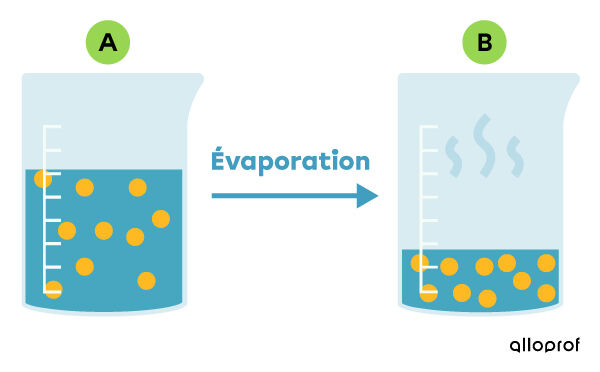 Les techniques de séparation des mélanges (théorie) | Secondaire | Alloprof