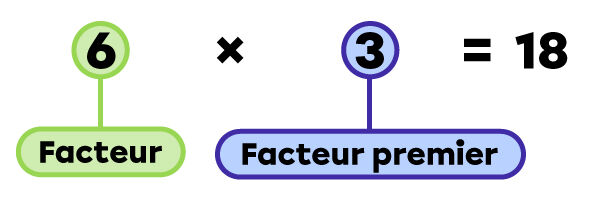 Les facteurs premiers et la factorisation première - 2e cycle ...