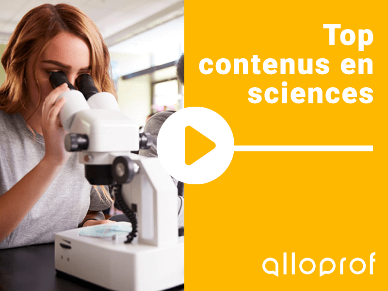 Ressources clés en sciences pour les élèves | Alloprof
