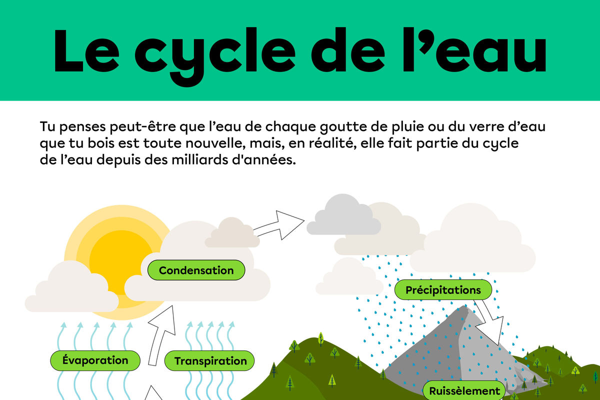 Affiche : Le cycle de l’eau | Alloprof