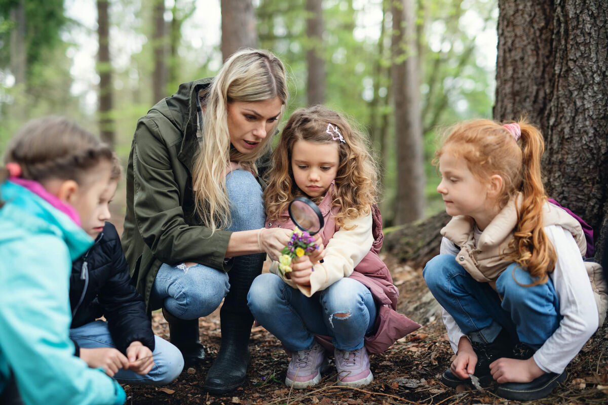 Biodiversity: Raising Student Awareness through Educational Experiences ...