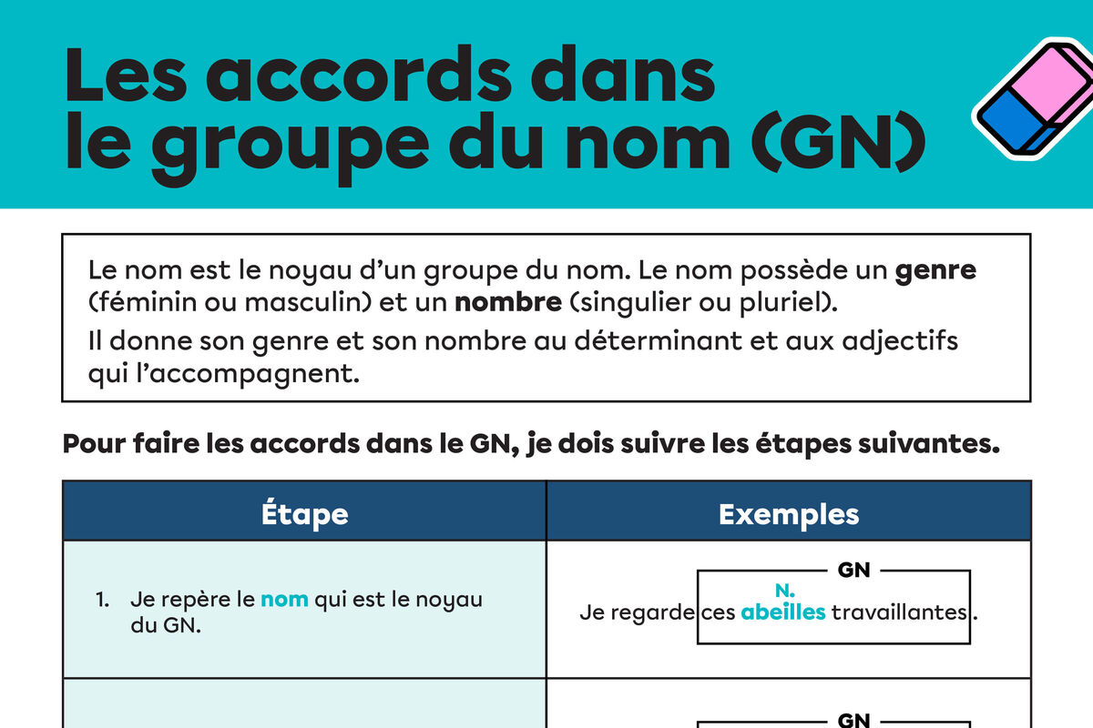 Affiche : Les accords dans le groupe du nom (GN) | Alloprof