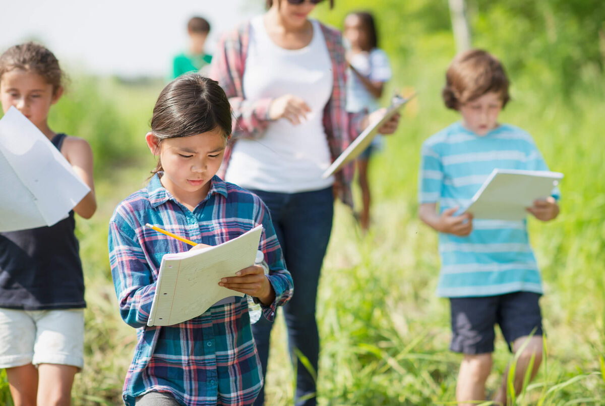 How to Incorporate Outdoor Learning With Elementary School Students ...